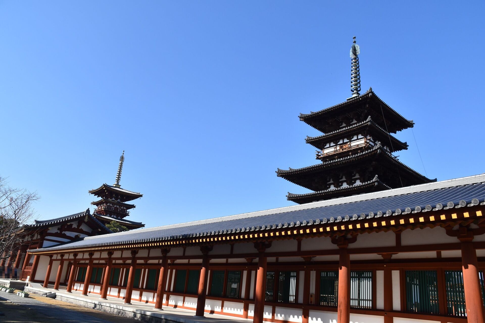 謹賀新年、2024年（令和6年）: Osaka-Sirokichies Blog